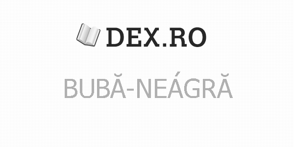 Dex BUBĂ-NEÁGRĂ, BUBA-NEAGRA, definiţie BUBĂ-NEÁGRĂ, dex.ro