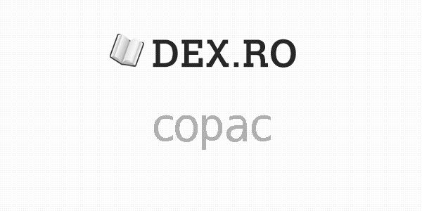 Dex copac, copac, definiţie copac, dex.ro
