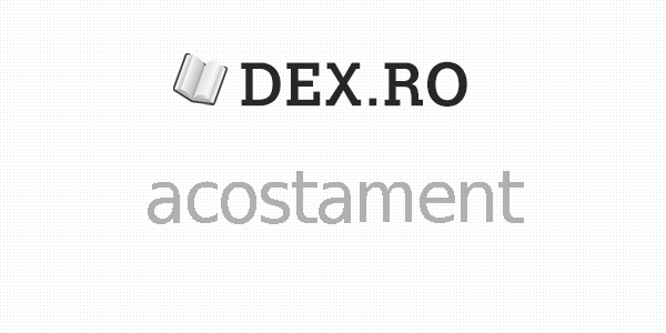 Dex acostament, acostament, definiţie acostament, dex.ro