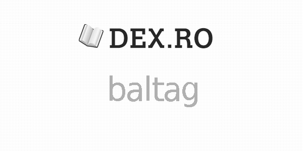 Dex baltag, baltag, definiţie baltag, dex.ro