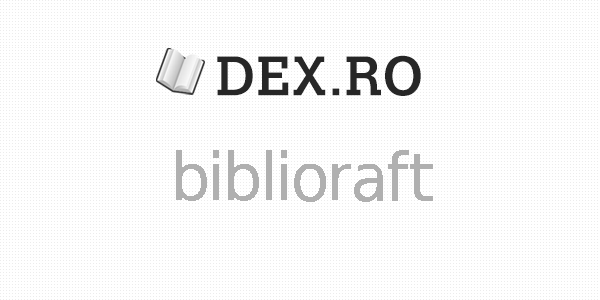 Dex biblioraft, biblioraft, definiţie biblioraft, dex.ro