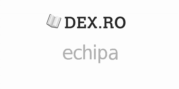 Dex echipa, echipa, definiţie echipa, dex.ro