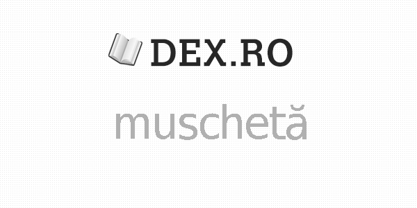 Dex muschetă, muscheta, definiţie muschetă, dex.ro