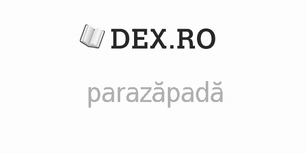Dex parazăpadă, parazapada, definiţie parazăpadă, dex.ro