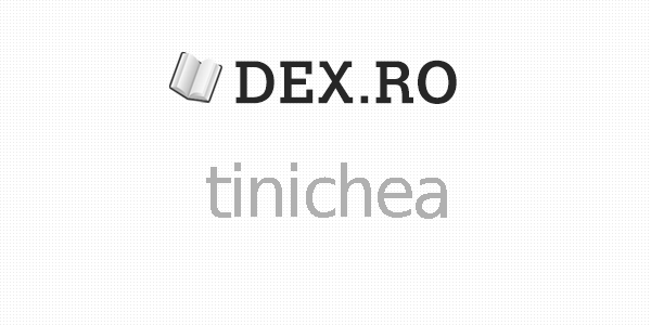 Dex tinichea, tinichea, definiţie tinichea, dex.ro