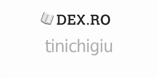 Dex tinichigiu, tinichigiu, definiţie tinichigiu, dex.ro